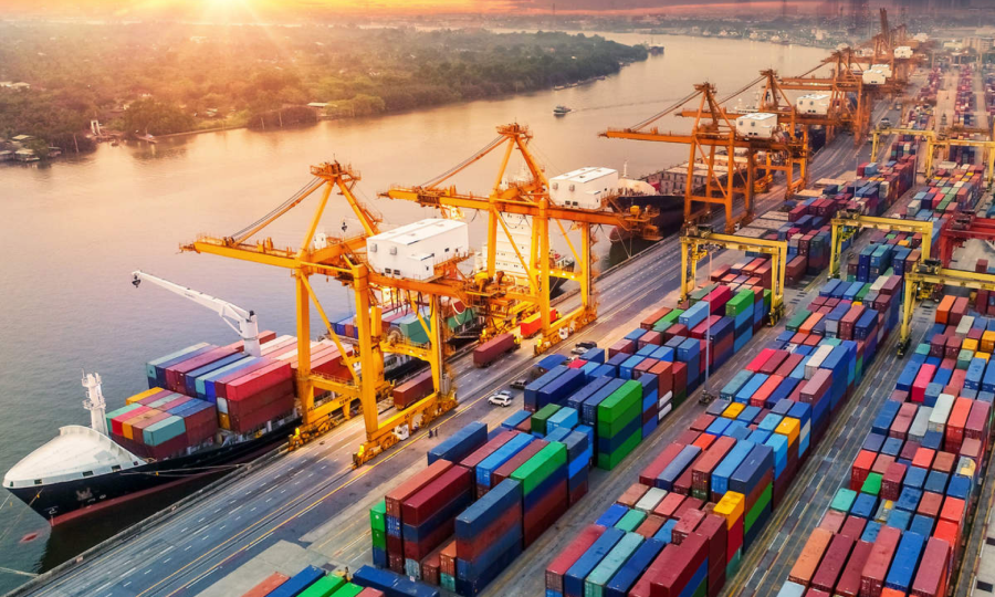Fast-track imports with customs and delivery support.